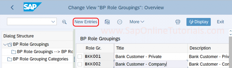 Define BP Role Groupings & Category Groups in SAP Hana Define BP Role Groupings & Category Groups in SAP Hana